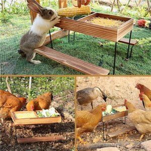 Bird | Chicken Feeder Table Squirrel Feeder Bird Feeder Wood Chicken ...